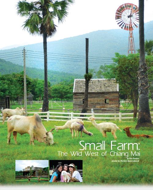 Small Farm: The Wild West of Chiang Mai
